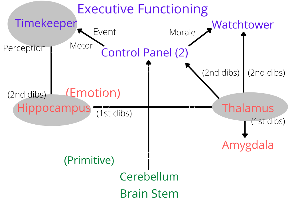 Hippocampus How Memories Affect Us In 4 Visual Aids Defeating