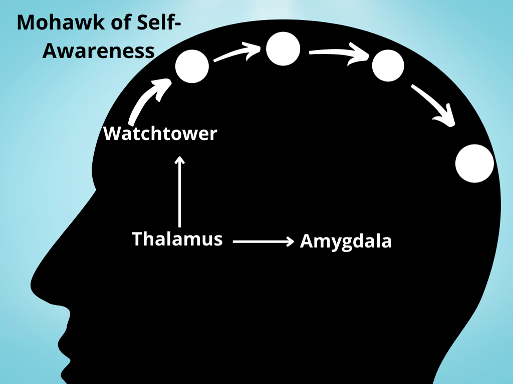 The Brain's Watchtower with the Mohawk of Self-Awareness - Defeating ...